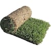 Harmony 10 sq. ft. Bermuda O/S Rye Sod BERMRYE10SF - The Home Depot