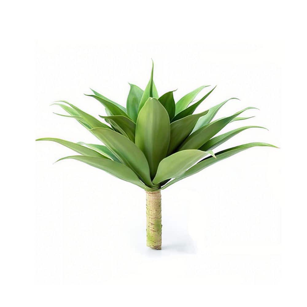 22 in. Green Indoor Succulent Artificial Agave Plant HD8HCLLS99 - The ...