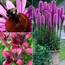 VAN ZYVERDEN Color Your Garden Red Collection Bulbs (37-Set) 83606 ...