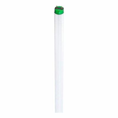 Philips 25-Watt 4 ft. Linear T8 Fluorescent Tube Light Bulb Cool White ...