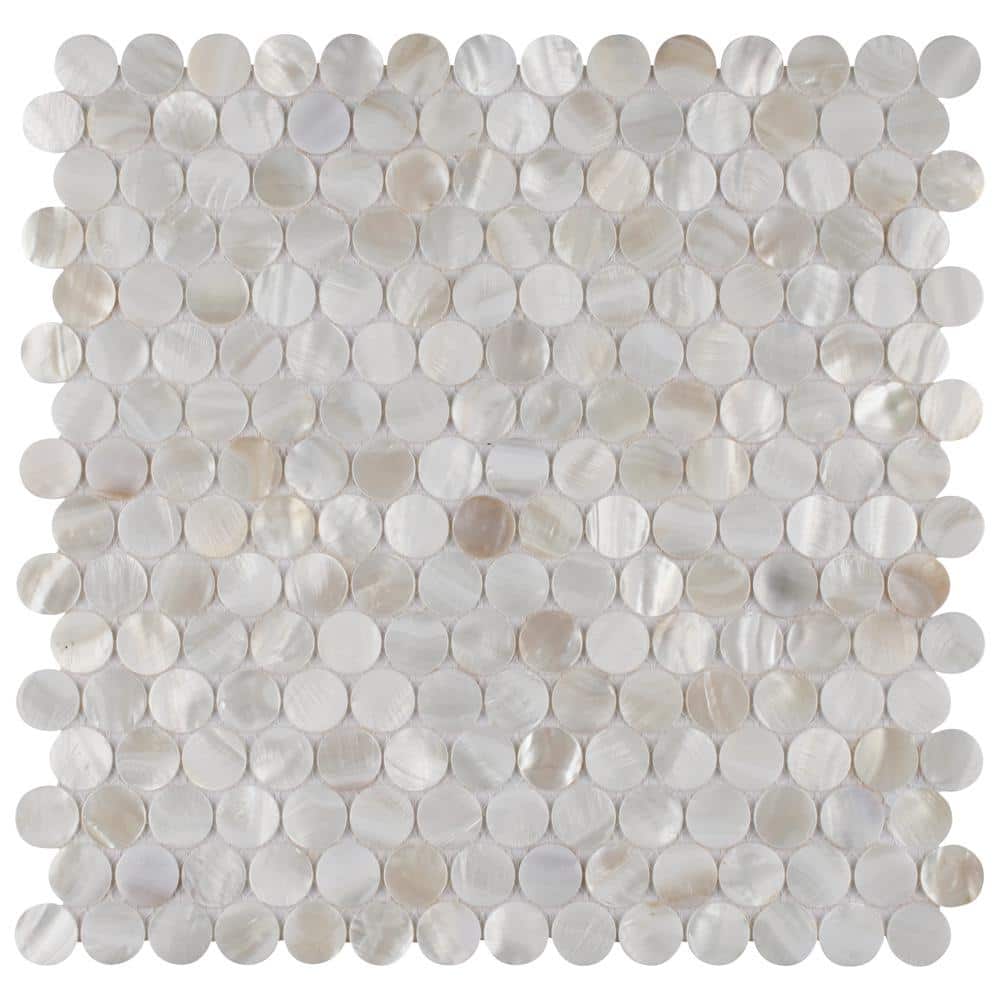 Merola Tile Conchella Mini Penny White 6 in. x 6 in. Natural Shell ...