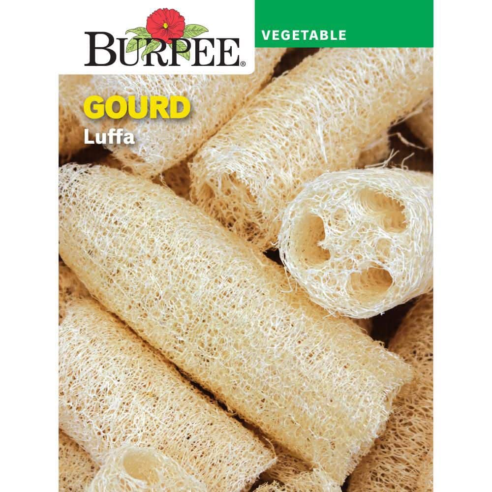 Burpee Gourd Luffa Vegetable Seed 30293 - The Home Depot