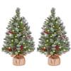 Yaheetech Set of 2 Tabletop Christmas Trees Mini Frosted Artificial ...
