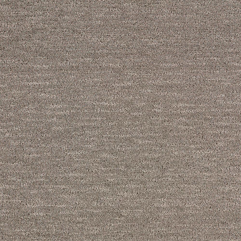 Lifeproof with Petproof Technology Allison Cove Adventurer Brown 39 oz ...