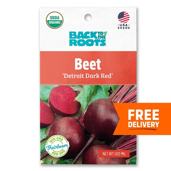 Back to the Roots Organic Detroit Dark Red Beets Seed (1-Pack) 46037 ...