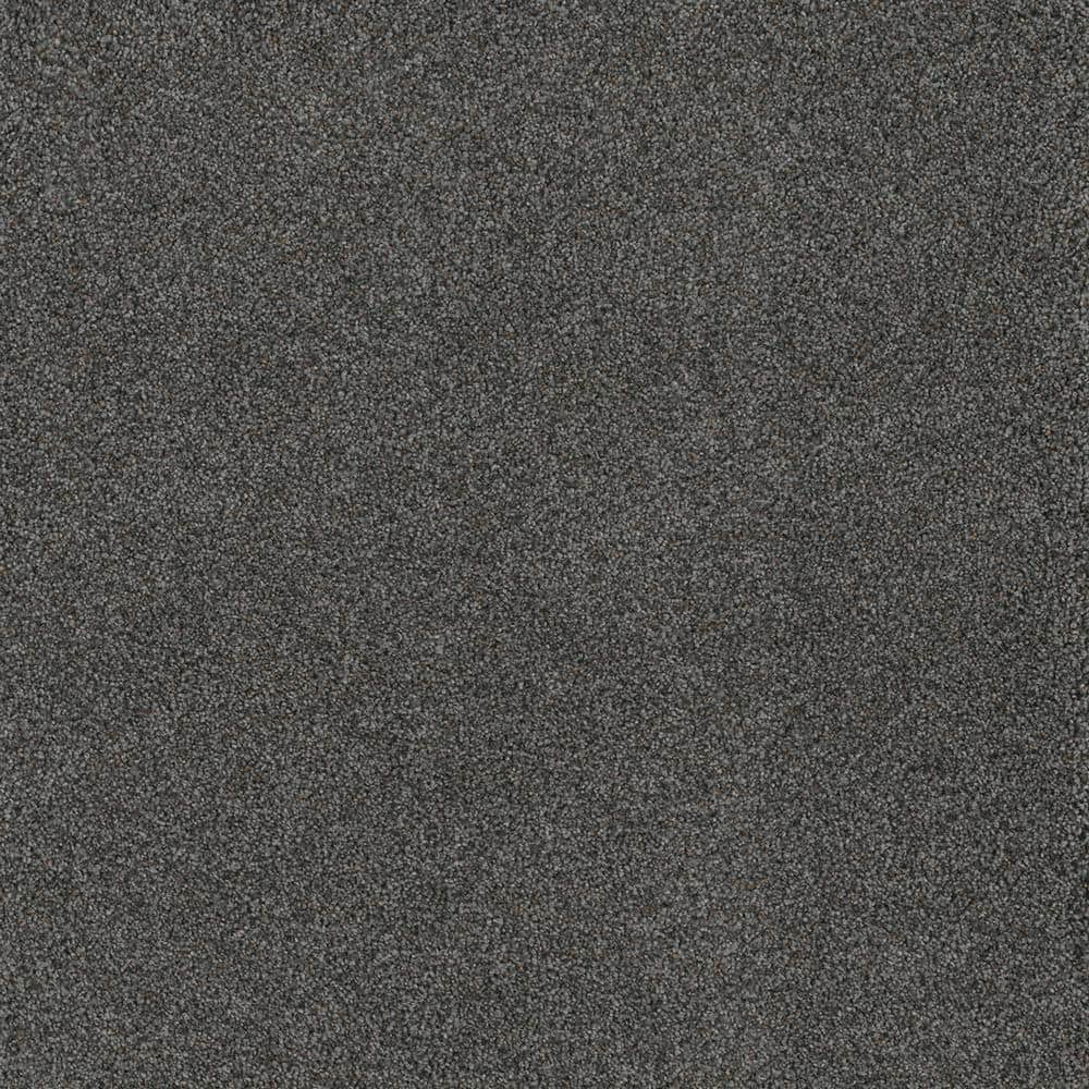 Reviews for Home Decorators Collection Delight II - Sunny - Gray 65 oz ...
