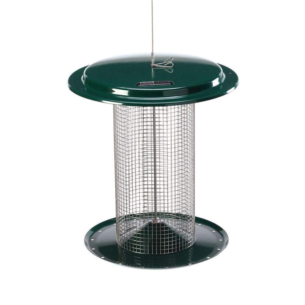 BIRDS choice Sunflower Seed Bird Feeder in Green SD700 - The Home Depot