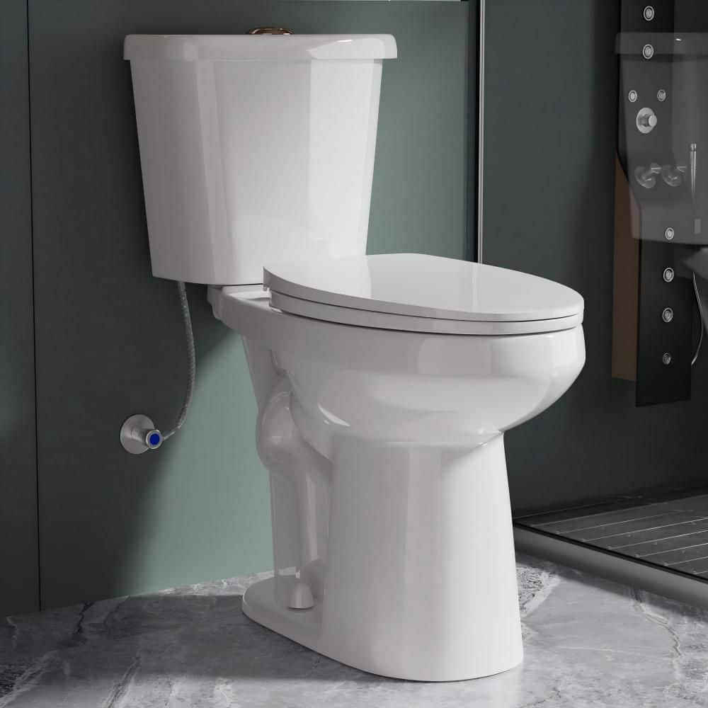 Vomlor 21 in Extra Tall Elongated Toilet White ADA 2-Piece Dual Flush 1 ...