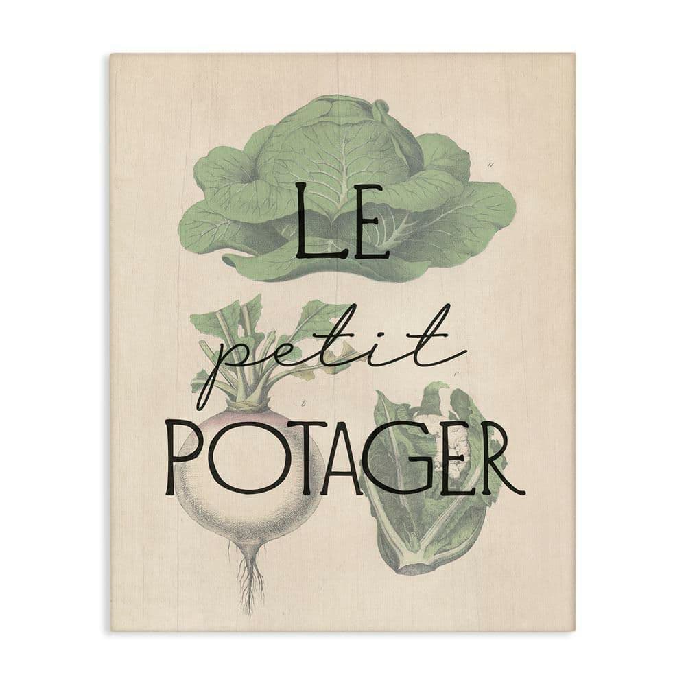Stupell Industries French Vegetable Garden by Daphne Polselli Unframed ...
