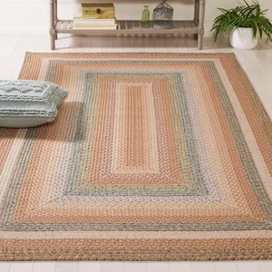 SAFAVIEH Braided Tan/Multi 4 ft. x 6 ft. Oval Border Area Rug BRD314A ...