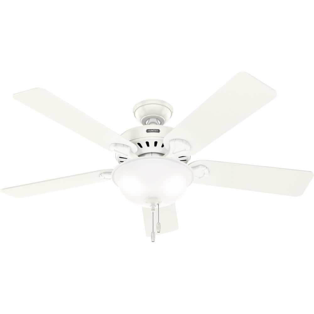 Hunter Fans - Pro s Best - 5 Blade Ceiling Fan with Light Kit In ...