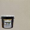 Interior/Exterior Textured Bonding Primer 3 gal Bone Concrete Coating ...