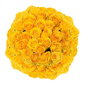 Globalrose Fresh Red Roses Best of The Best (125 Extra Long Stems ...