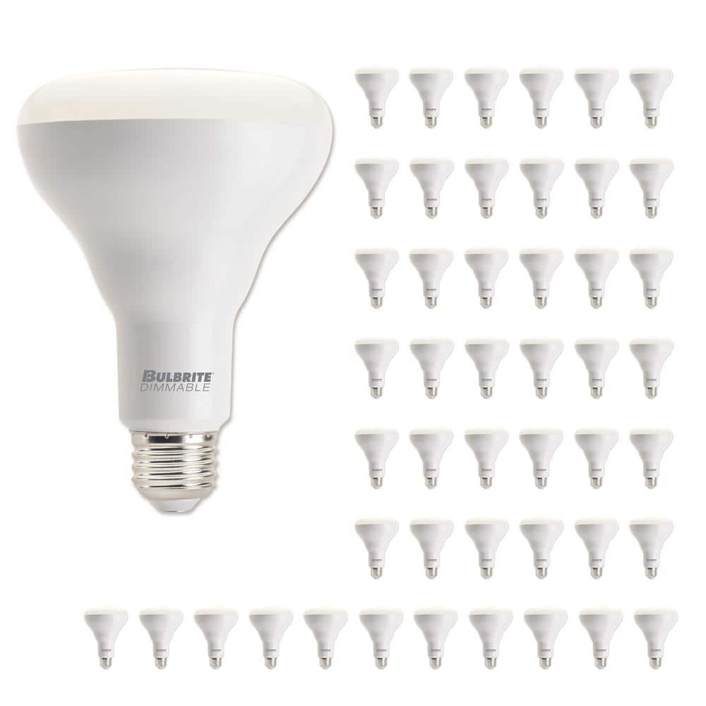 Bulbrite 65-Watt Equivalent BR30 Medium Screw LED Light Bulb Soft White ...