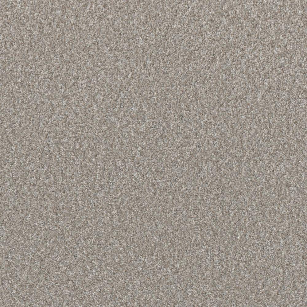 Home Decorators Collection Gentle Glimmer III-Luster Beige-70 oz. SD ...