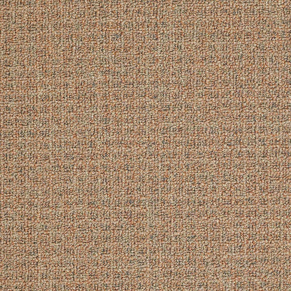 TrafficMaster 8 in. x 8 in. Berber Carpet Sample - Burana - Color ...