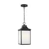 Generation Lighting Saybrook 16.75 in. 1-Light Textured Black Dimmable Outdoor Pendant Light ...
