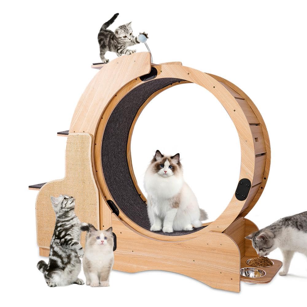 maocao hoom Natural Wood Cat Sports Running Wheel Cats Wheel Wood ...