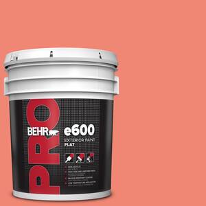 BEHR PRO 1 gal. #T16-07 Coralette Low Luster Exterior Paint PR62301 ...