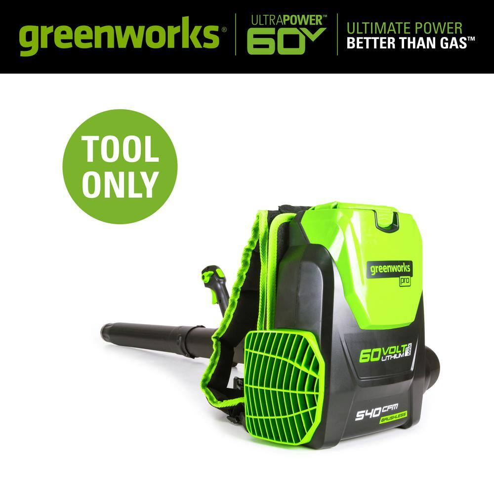 Greenworks Pro 80V Backpack Blower! Legitimate Gas Blower, 59% OFF
