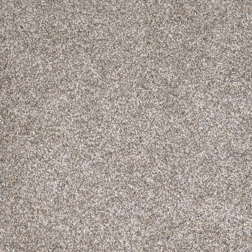 Lifeproof 8 in. x 8 in. Texture Carpet Sample - Hazelton I - Color ...