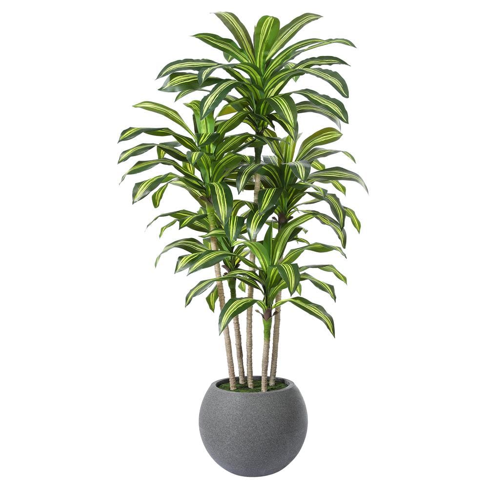 DR.Planzen 7ft.uvResistant Artificial Dracaena Tree W/Grey Tall Planter,Fake Tropical Dracaena ...