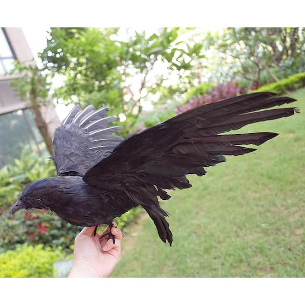 Dark Crows Pack Flying