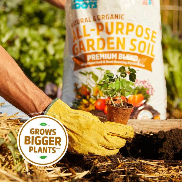 Back to the Roots 8-Pack: All-Purpose Potting Mix 6 Quarts 47006