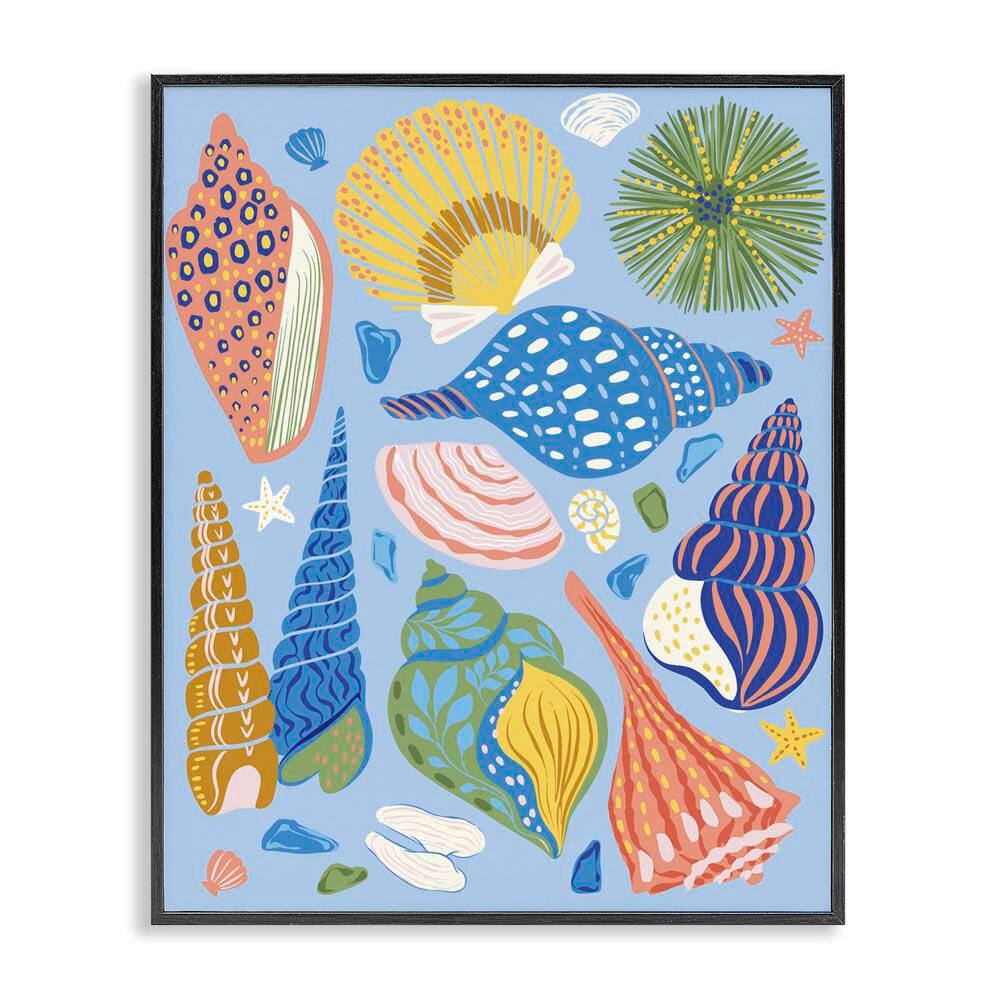Stupell Industries Summer Fun Seashells by Arrolynn Weiderhold Black Framed Coastal Giclee Art ...
