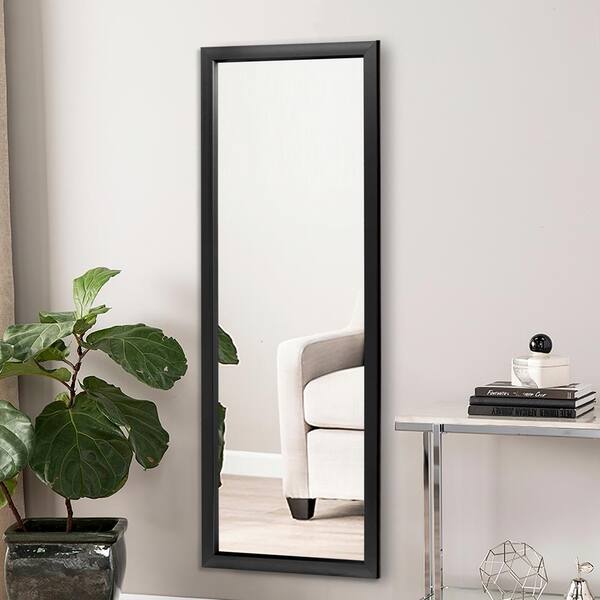 NEUTYPE 43 In X 16 In Rectangle Classic Black Hooks Wall Mirror 