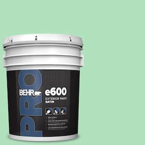 BEHR PRO 5 gal. #P400-3 Folk Tale Low Luster Exterior Paint PR62005 ...