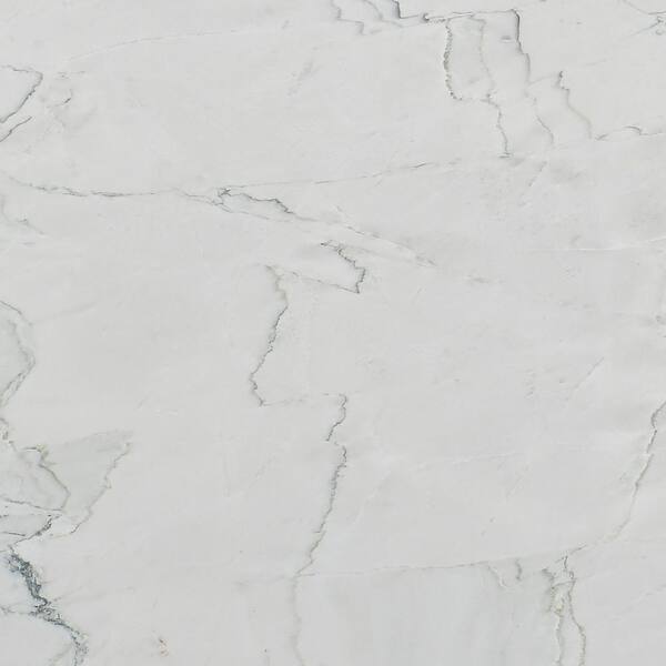 STONEMARK 3 in. x 3 in. Quartzite Countertop Sample in Calacatta ...