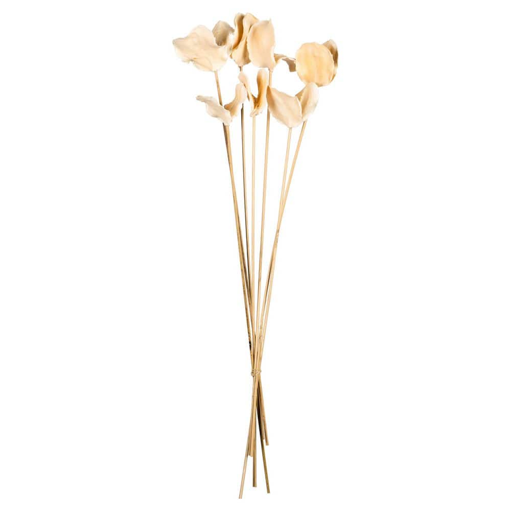 Vickerman 15-17 in. White Preserved Jacaranda Pod Leaf Stem, 21 Stems ...