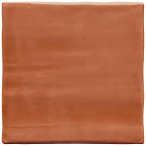 Daltile Artcrafted Coconut 4 in. x 4 in. Glossy Ceramic Wall Tile ...