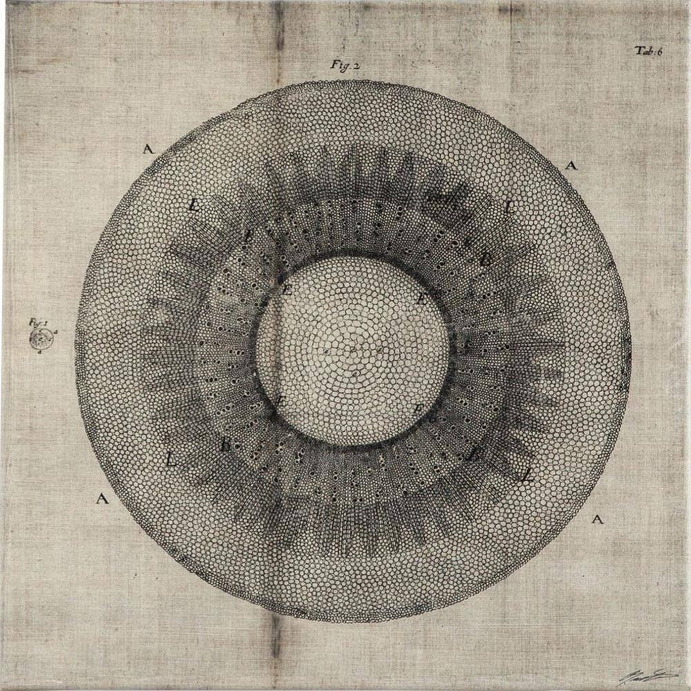 Mercana Cross Cut II (MC) Architecture Print 30 in. x 30 in. 100005-SSP ...