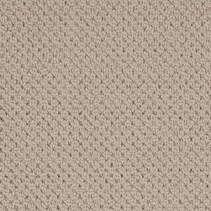 Lifeproof 8 in. x 8 in. Pattern Carpet Sample - Abbotts Gate -Color ...