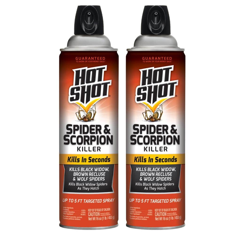 Reviews for Hot Shot 16 oz. Spider and Scorpion Insect Killer Aerosol ...