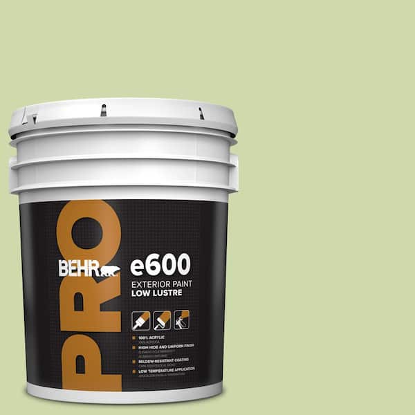 BEHR PRO 5 gal. #P370-3 Chameleon Skin Low Luster Exterior Paint ...