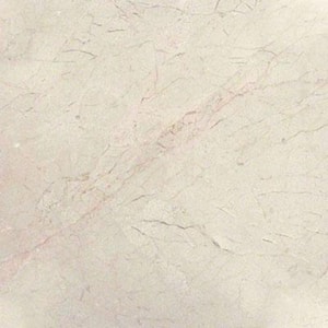 MSI Verde Amazonia 12 in. x 12 in. Polished Marble Floor and Wall Tile ...