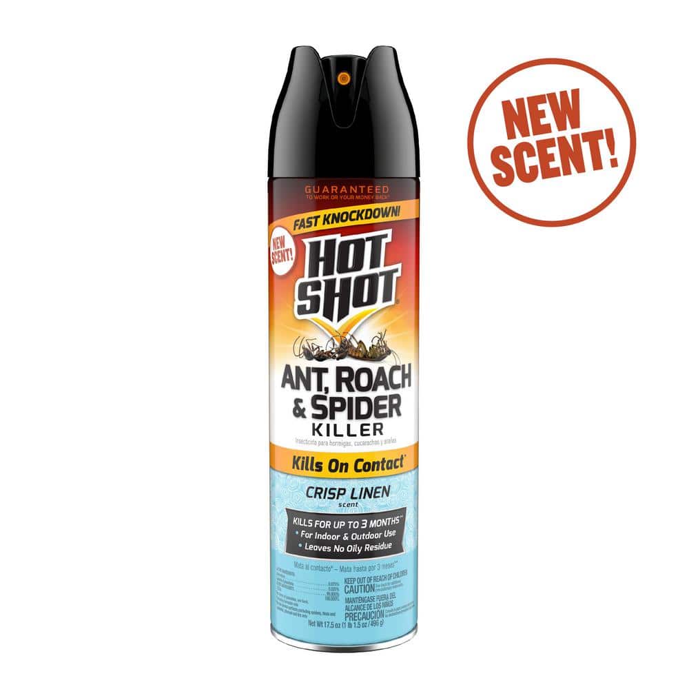 Hot Shot 17.5 oz. Ant, Roach and Spider Insect Killer Aerosol Spray ...