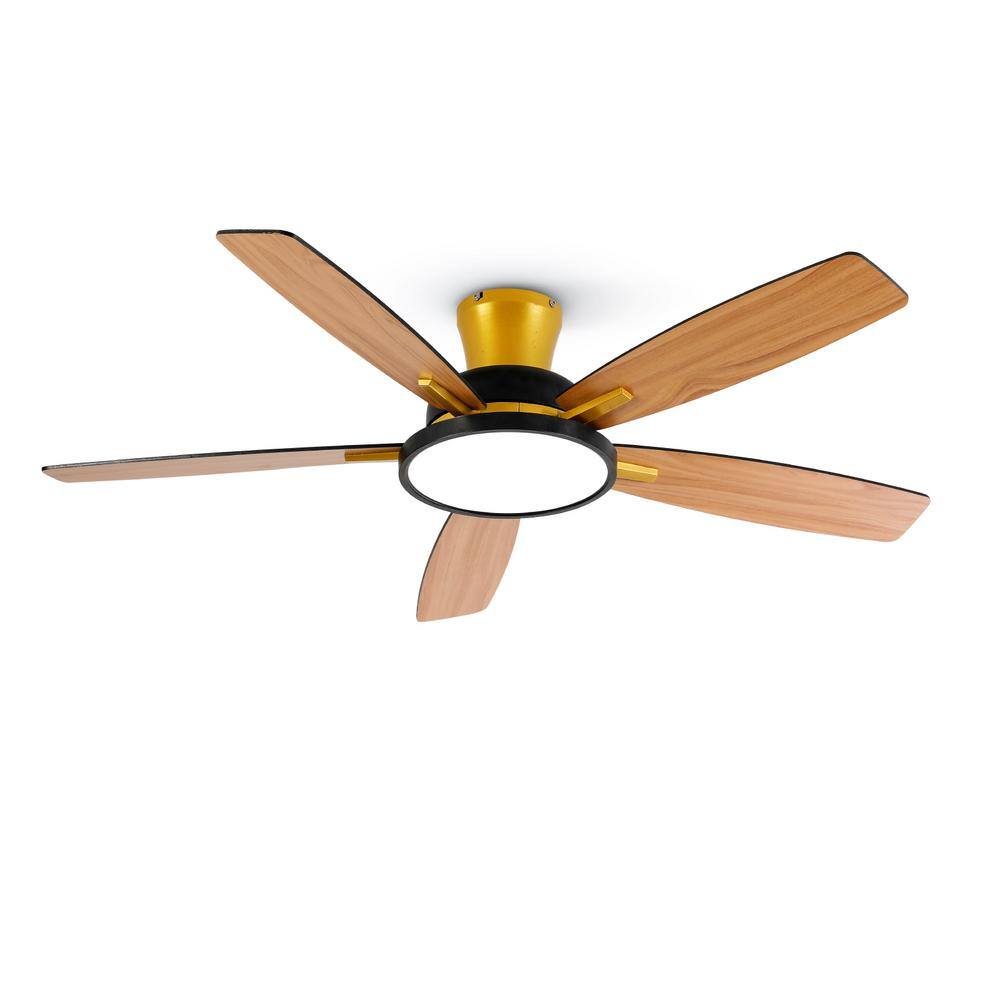 QRMOK T5 52 in. Smart Indoor Black and Gold Ceiling Fan w/ Dimmable LED ...