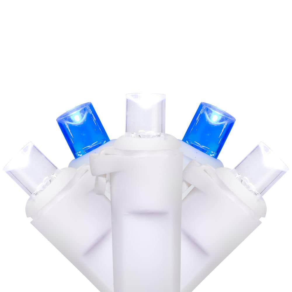 Northlight Set of 50 LED Wide Angle Lights Blue/White LED - White Wire ...