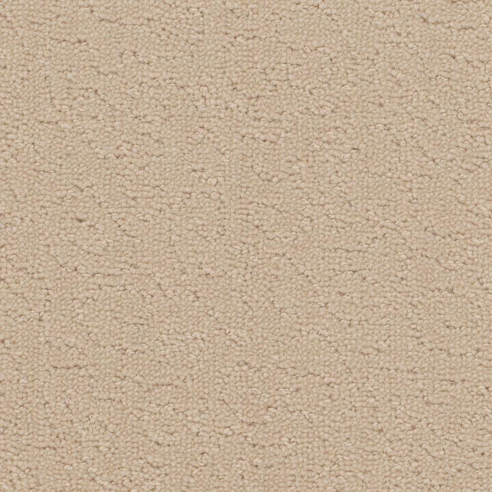 Home Decorators Collection Adalida - Seashell - Beige 40 oz. SD ...