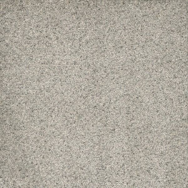 Home Decorators Collection 8 in. x 8 in. Texture Carpet Sample ...