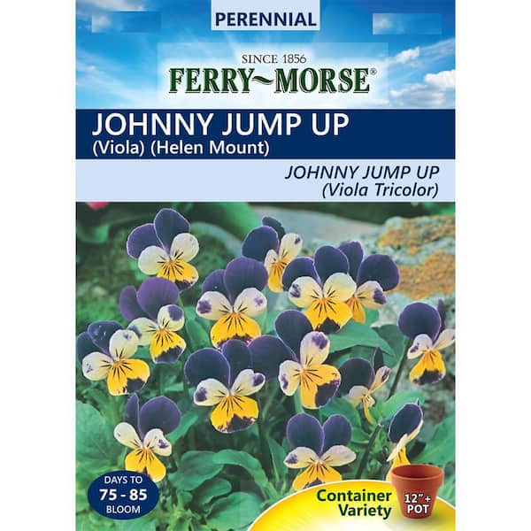 Ferry-Morse Johnny Jump Up Viola Helen Mount Flower Seed 6692 - The ...