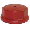 Water Source 2 in. Well Point Drive Cap DC200 - The Home Depot