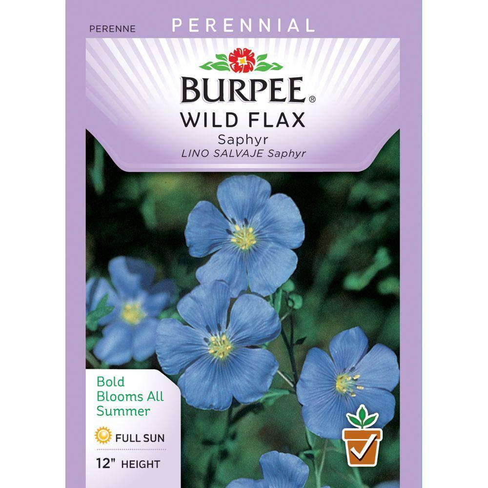 Burpee Wild Flax Saphyr Herb Seed 41814 - The Home Depot