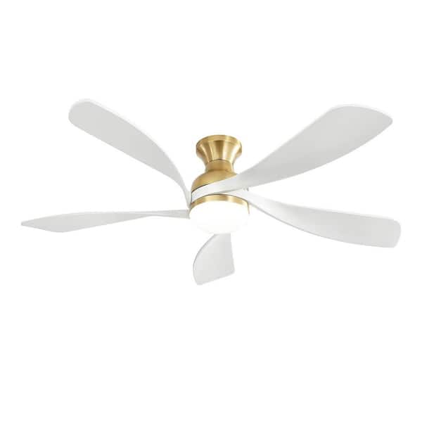 Staykiwi 52 in. Smart Indoor Modern Gold Ceiling Fan with 5 White Solid ...