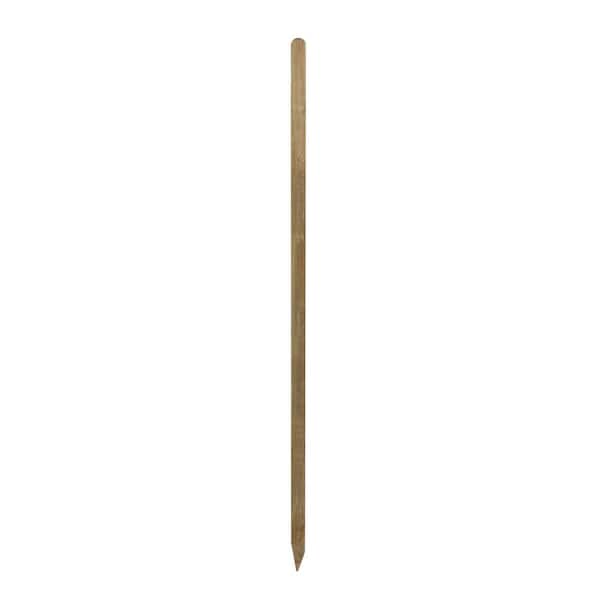 Reviews for ProWood 96 in. Wooden Pressure-Treated Tree Stake | Pg 4 ...
