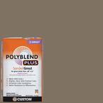 Custom Building Products Polyblend Plus #544 Rolling Fog 25 lb. Sanded ...